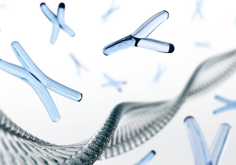 What is a multi-copy Y-STR marker? - Genebase